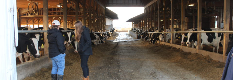 Drink Maine Milk | Maine Dairy and Nutrition Council | Maine Dairy ...